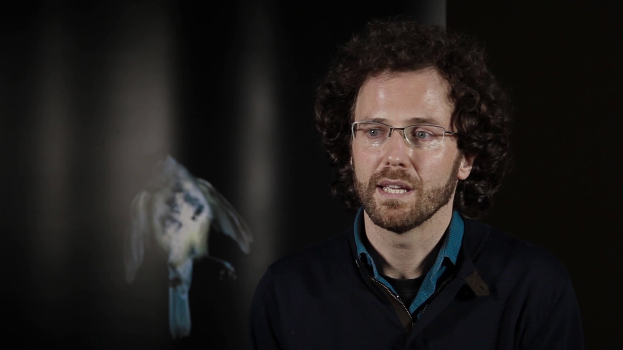 IVAN PINTOR - COMITE X FILMS - YouTube