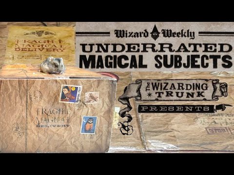 The Wizarding Trunks The Owlery December 2024 Underrated Magical ...