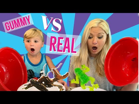 GUMMY Candy Vs REAL FOOD Challenge | EXTREME Gummy Food VS Real Food ...