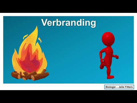 Verbranding - YouTube