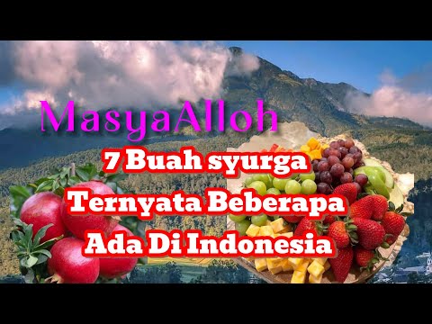 Ternyata 7 Buah-Buahan Surga Ini Ada di Indonesia, Apa Saja? - YouTube