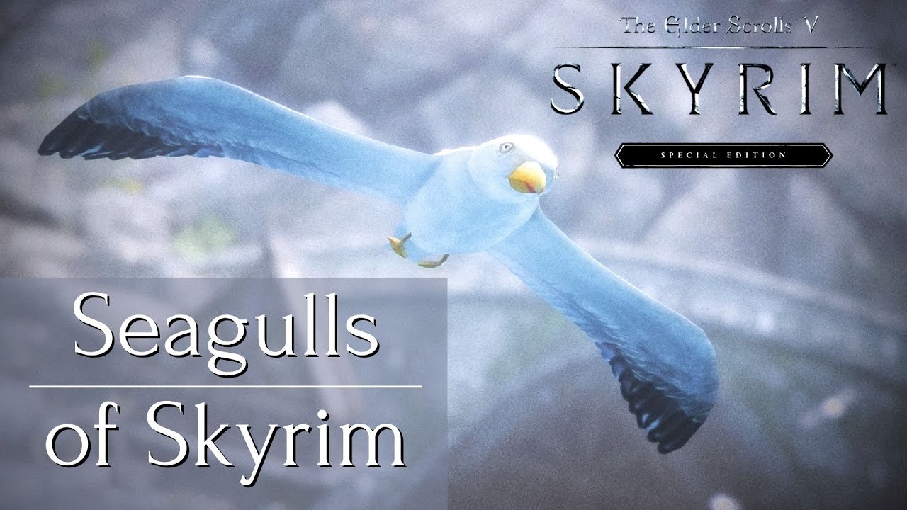 Skyrim SE: Mod Showcase - Seagulls of Skyrim - YouTube