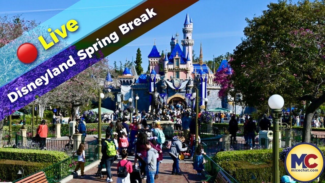 🔴 Disneyland LIVE: Spring break crowds, ToonTown troubles, adventures ...