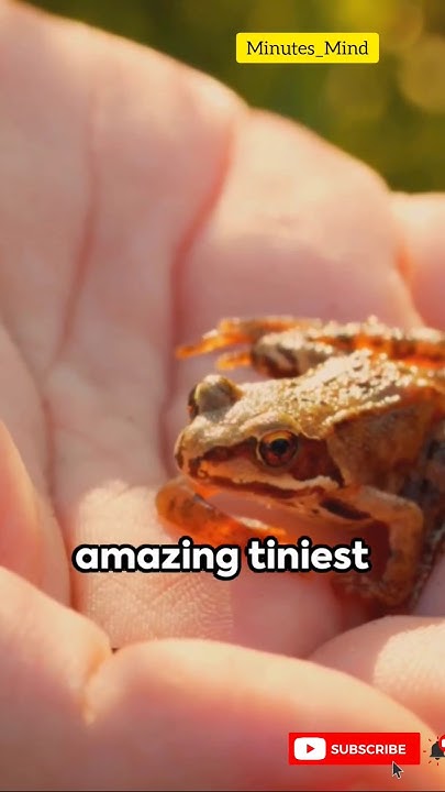 Tiny Titans: The World's Smallest Creatures |@Minutes_Mind #shorts # ...