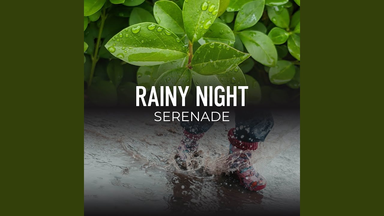 Weekend Rain Experience - YouTube