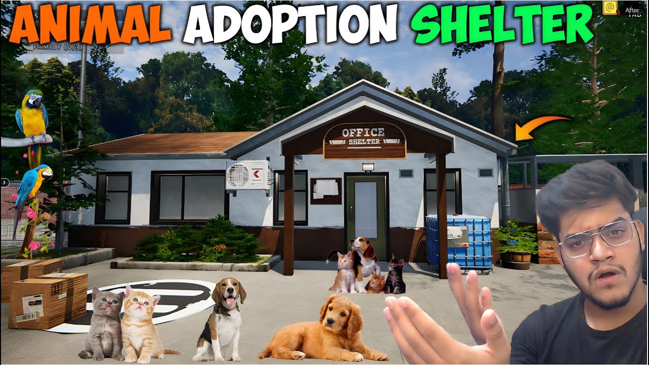 I OPEN ANIMAL- ADOPTION CENTRE- ANIMAL SHELTER SIMULATOR - PART 1 - YouTube