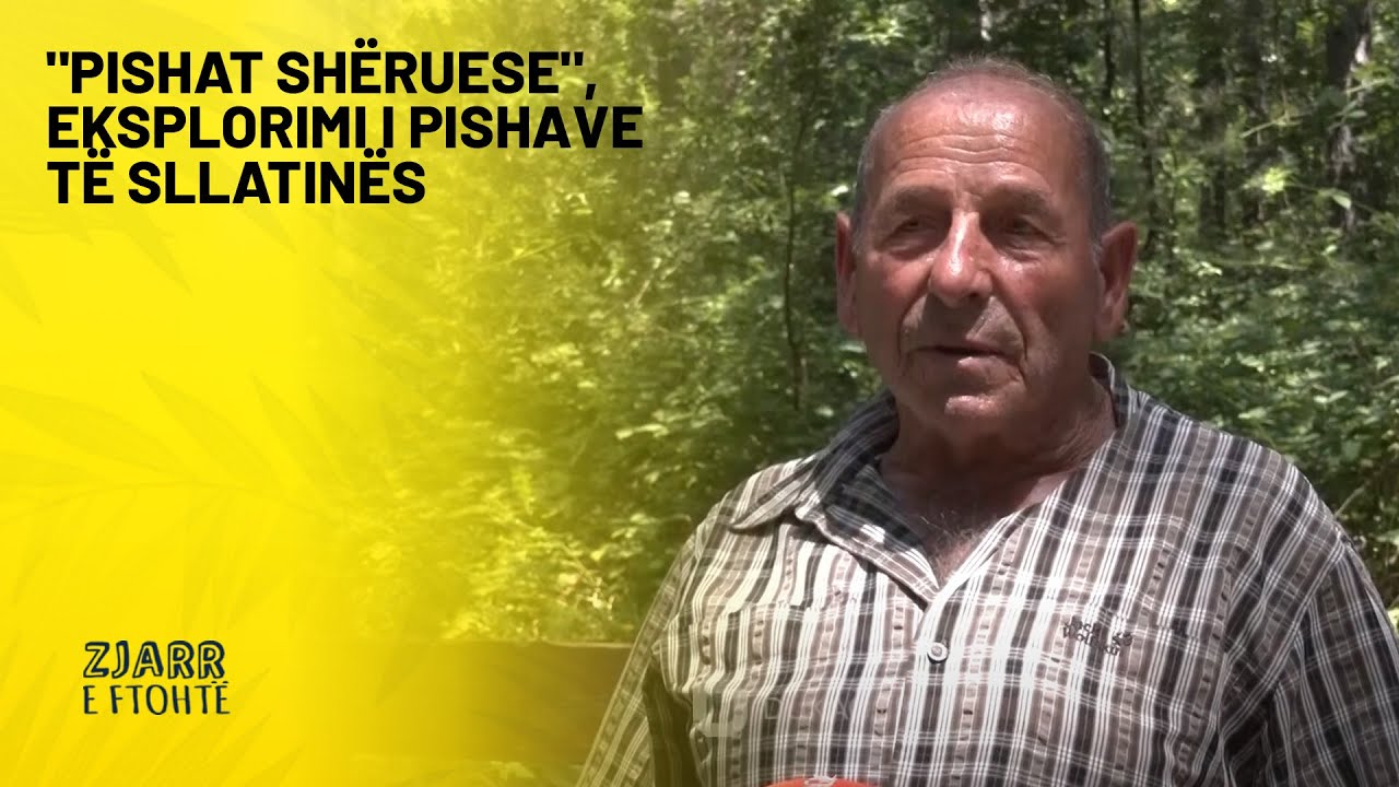 "Pishat shëruese", eksplorimi i pishave të Sllatinës - YouTube