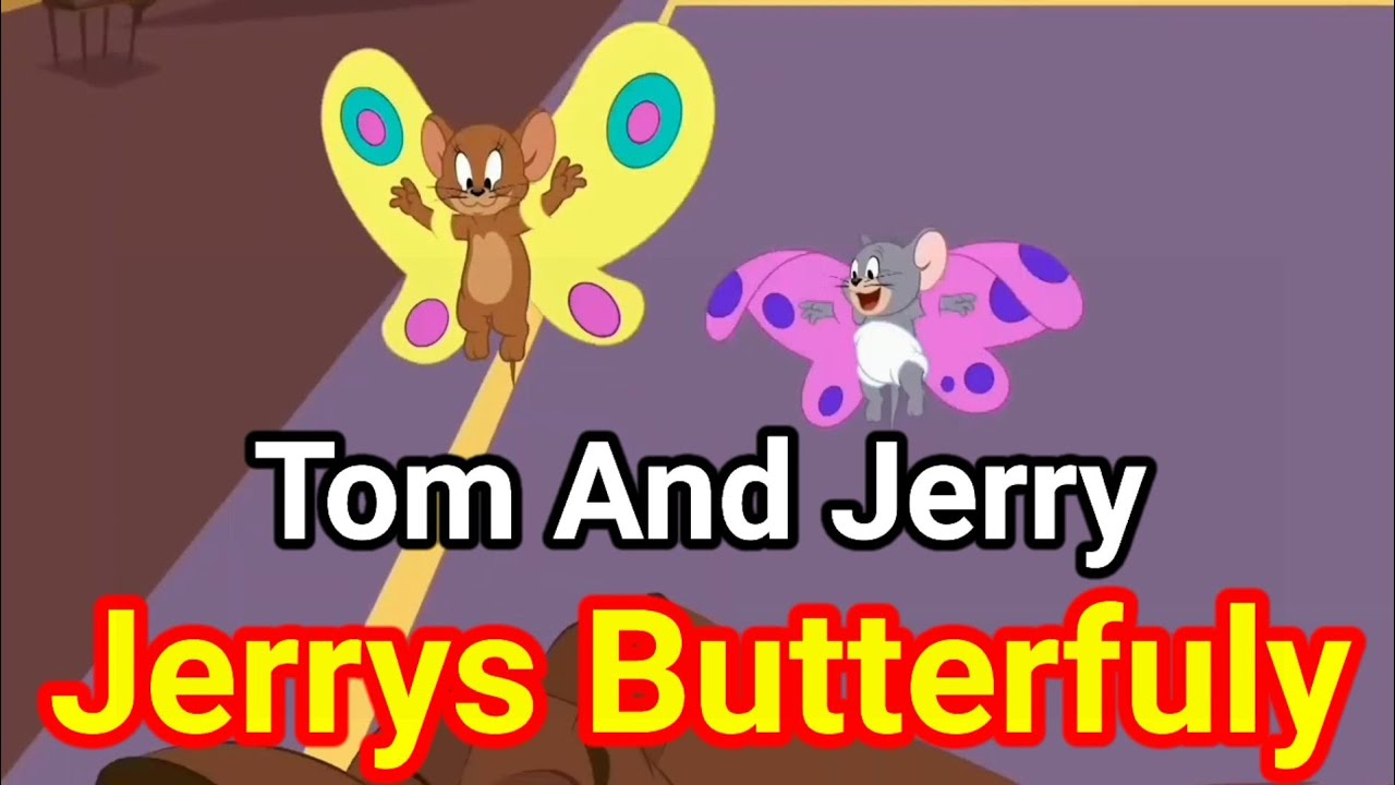 Tom And Jerry | So Funny Episode | Jerrys Is ButterFuly | Animals ...