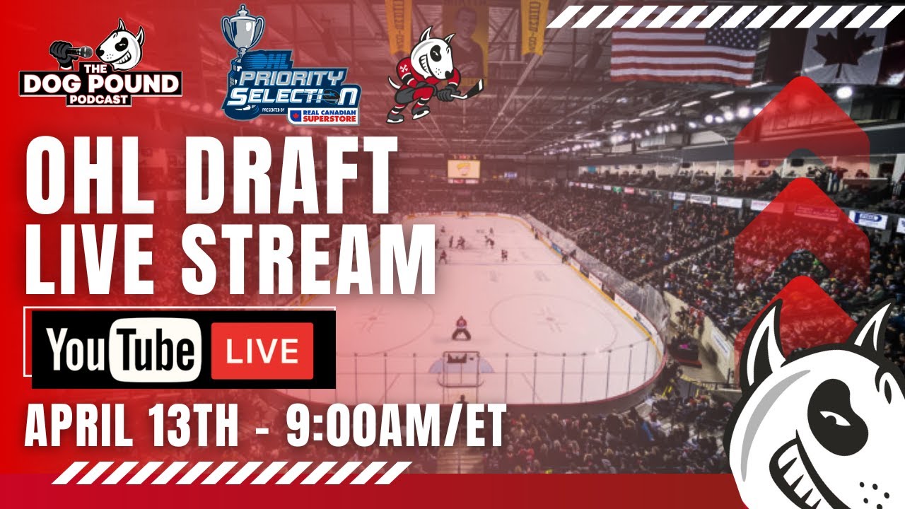 2024 OHL Priority Selection Niagara IceDogs Rounds 4-15 | Guests ...