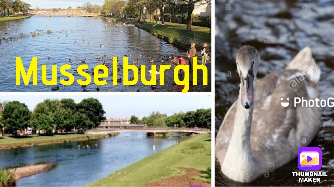 A Day Out The Musselburgh City || In Scotland - YouTube