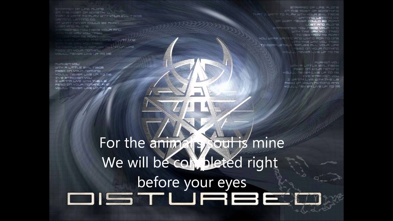 The Animal Disturbed lyrics - YouTube