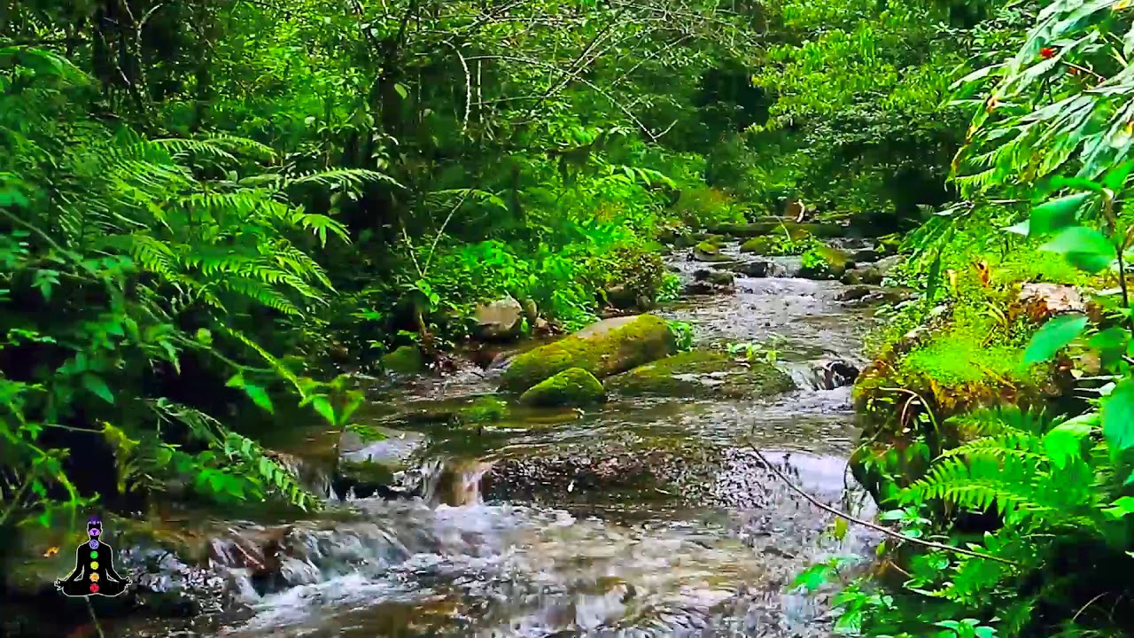 "Increase Creativity" Relaxing Nature Sounds for concentration and ...