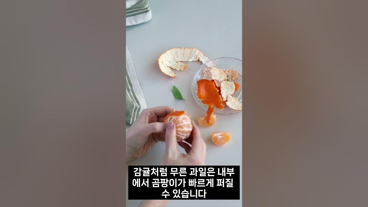 귤 곰팡이 잘라내고 먹어도 될까요 건강 건강정보 귤 Youtube