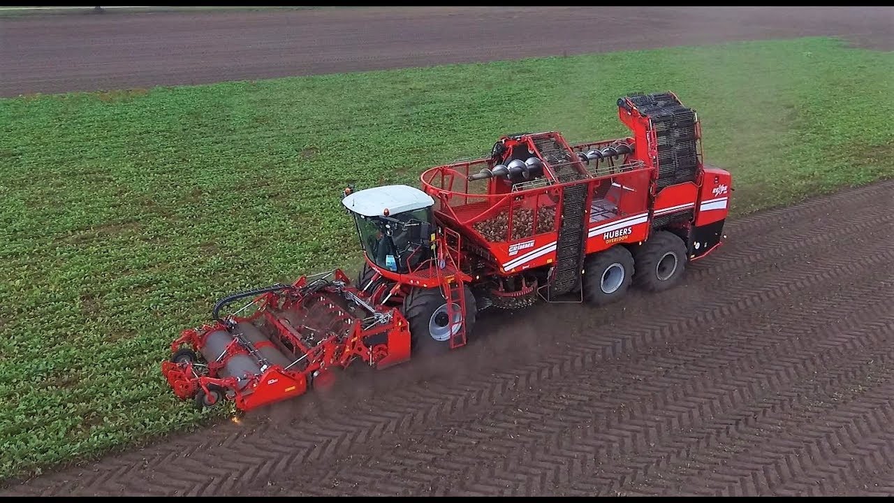 Suikerbieten rooien | *NEW* Grimme Rexor 630 | Harvesting Sugarbeet ...