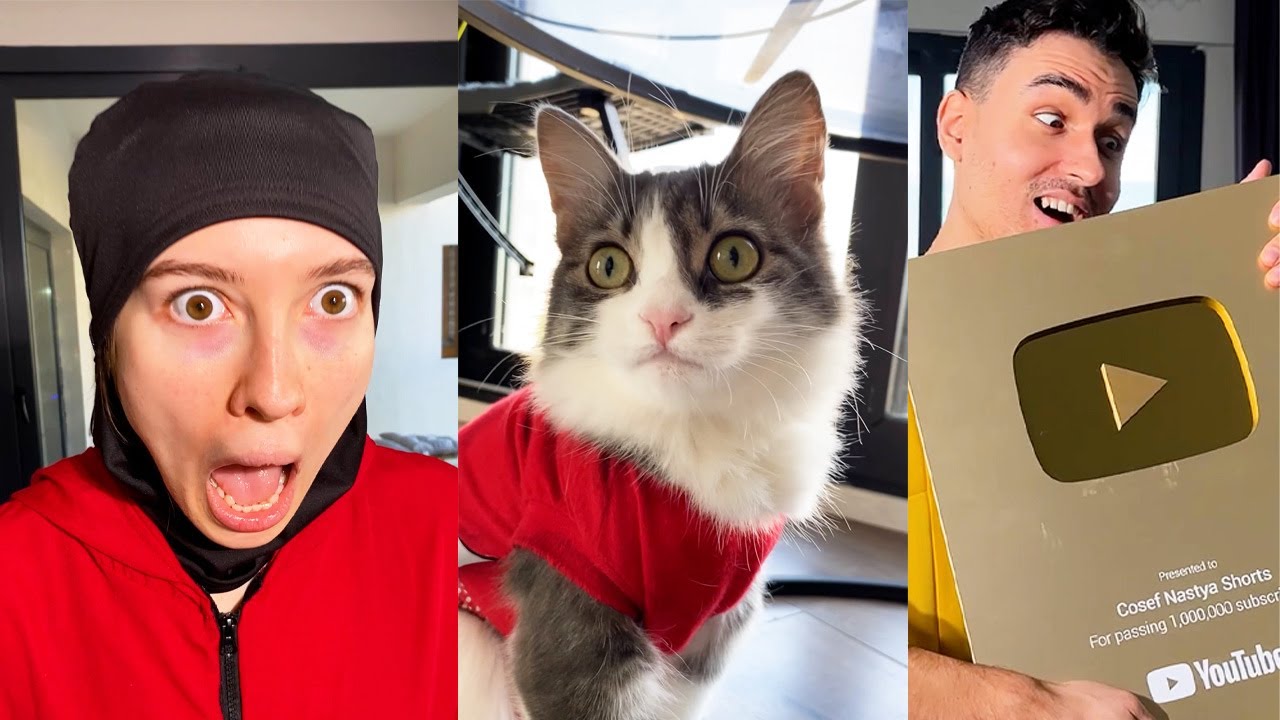 Cat Ate Pet Instect #shorts CosefNastya - YouTube