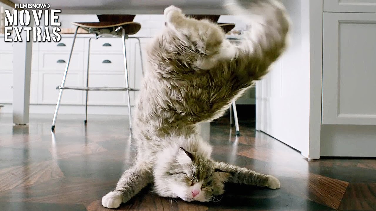 Nine Lives Clip Compilation (2016) - YouTube