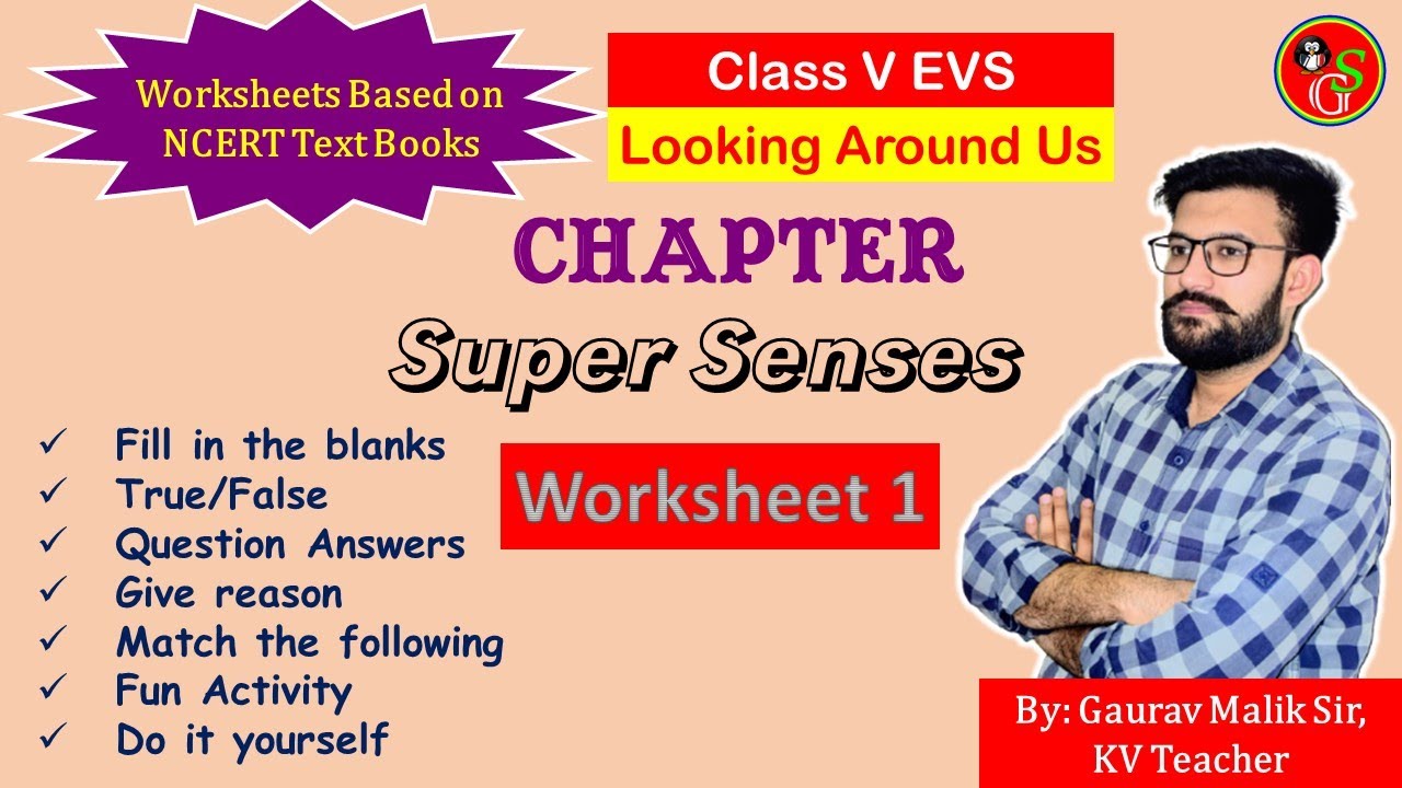 Chapter 1 Super Senses Worksheet | NCERT Class 5 EVS | By KV Teacher ...