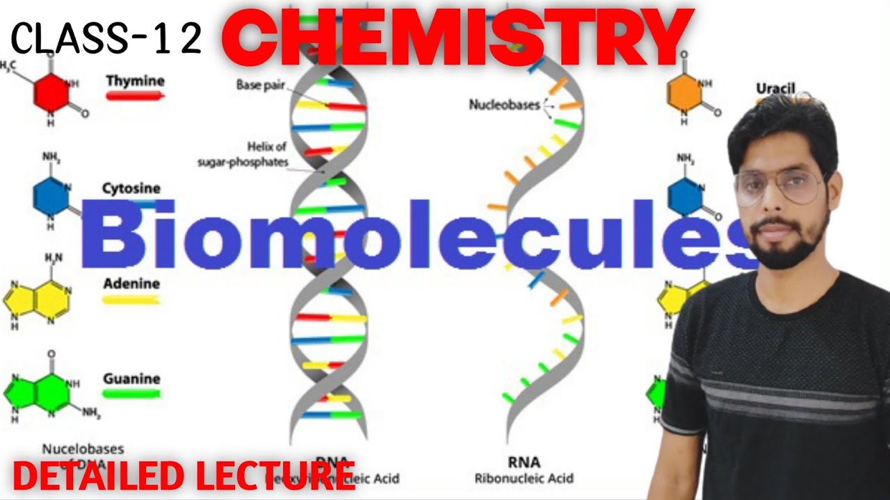 Biomolecule ( class 12 ) Classification of carbohydrates, reactions # ...