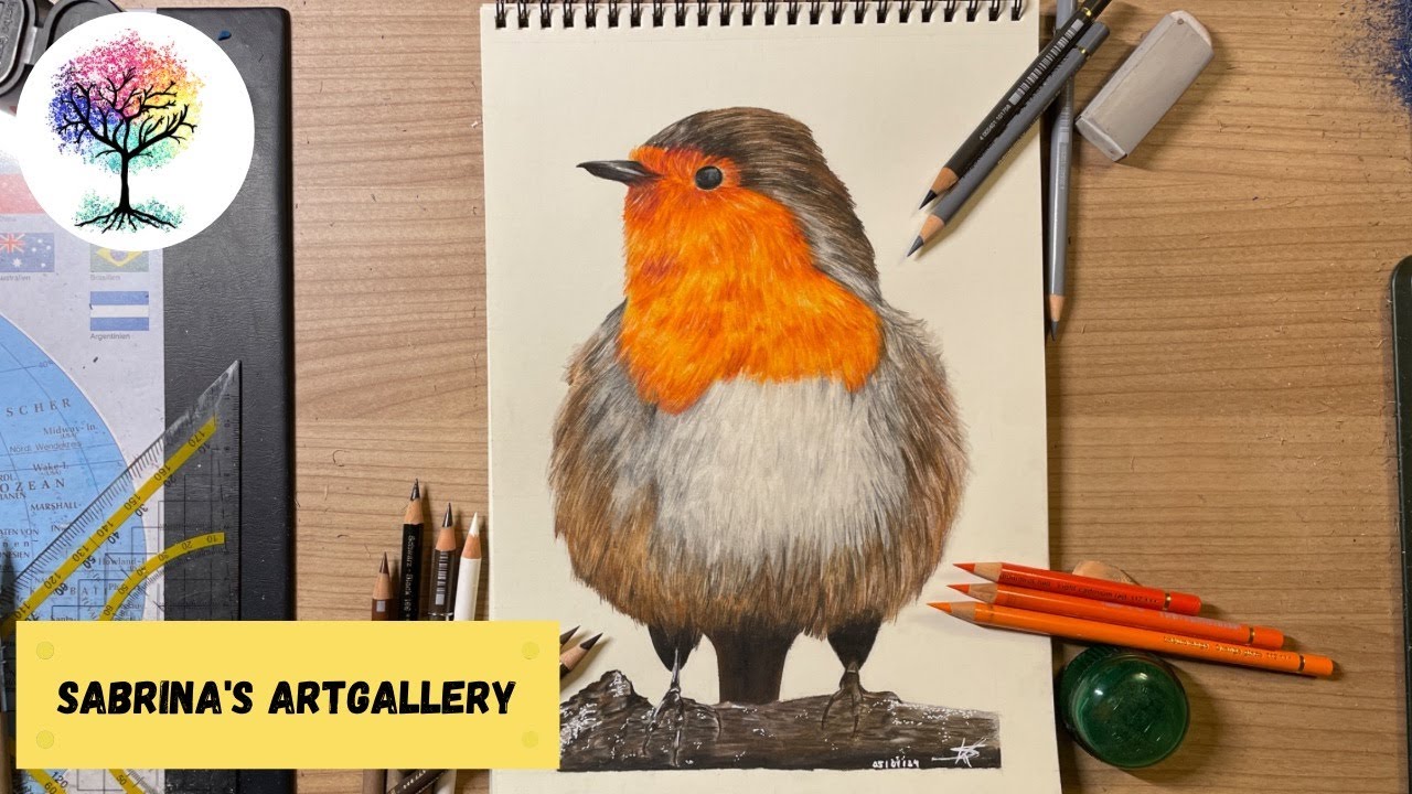 How to draw a Robin - YouTube