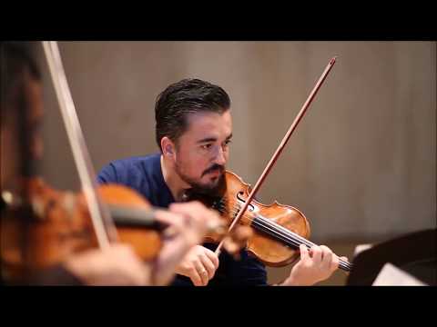 Borusan Quartet \