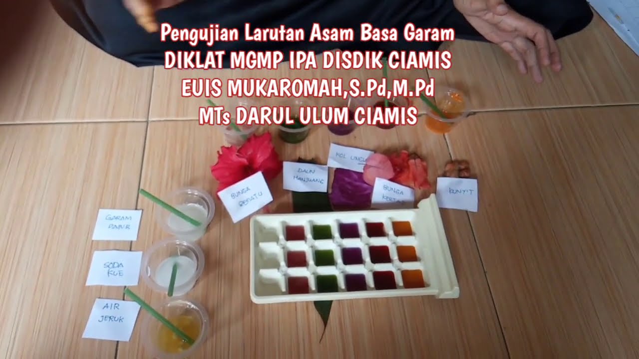 Praktikum Percobaan Asam Basa dengan Indikator Alami - Kol Ungu, Bunga ...
