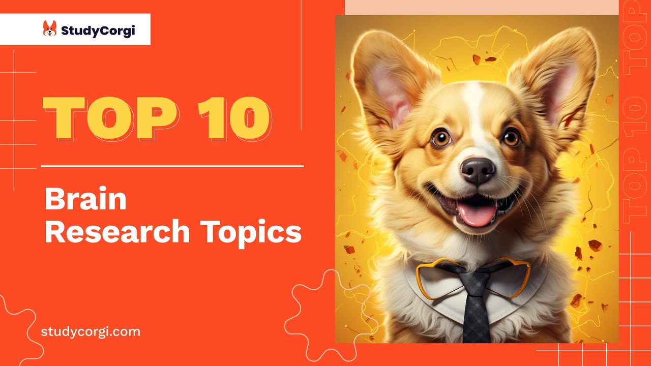 TOP-10 Brain Research Topics - YouTube