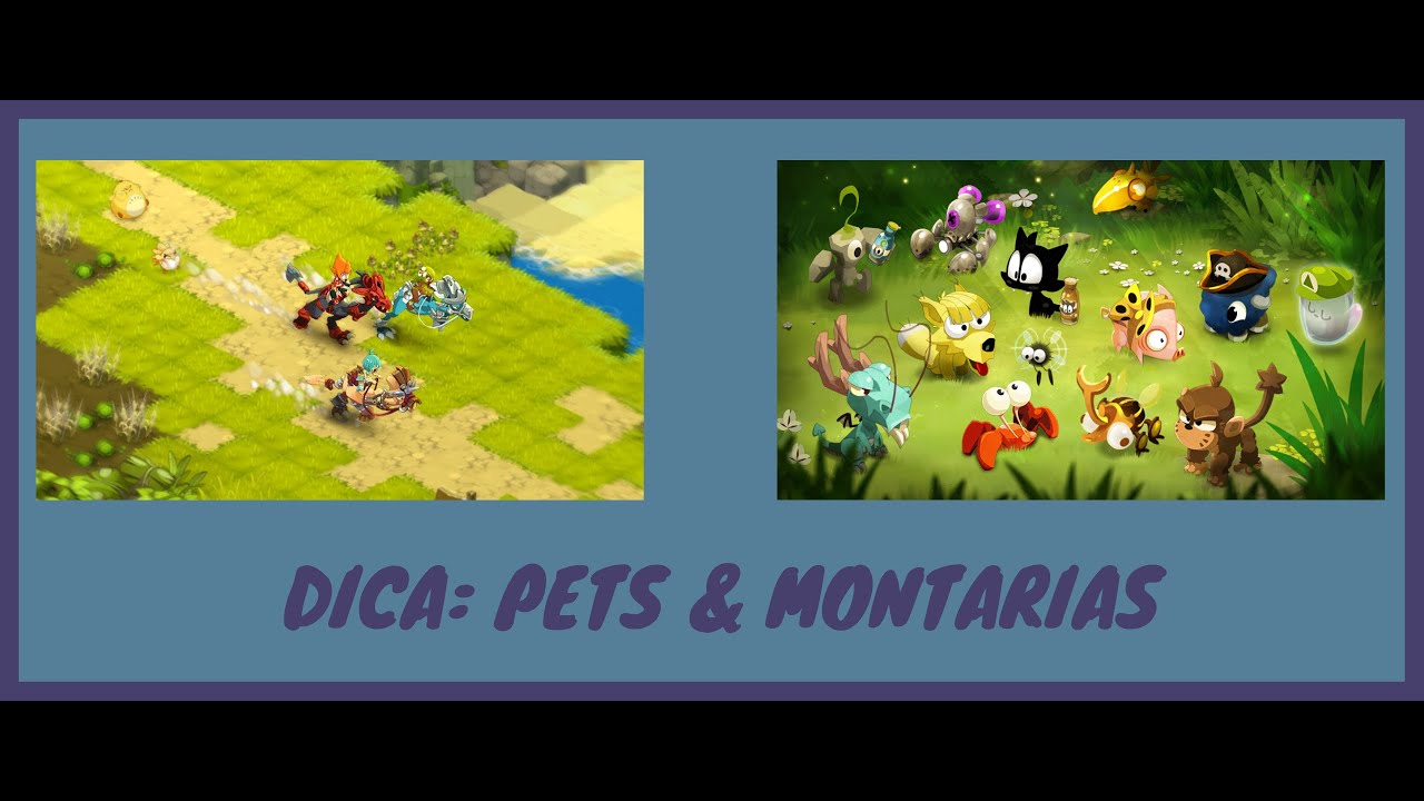 WAKFU - Dica - PETS e MONTARIAS - YouTube