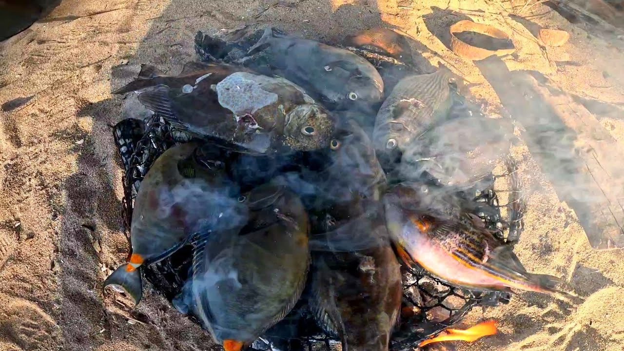 Final part subrang sarap ng mga isdang ito - YouTube