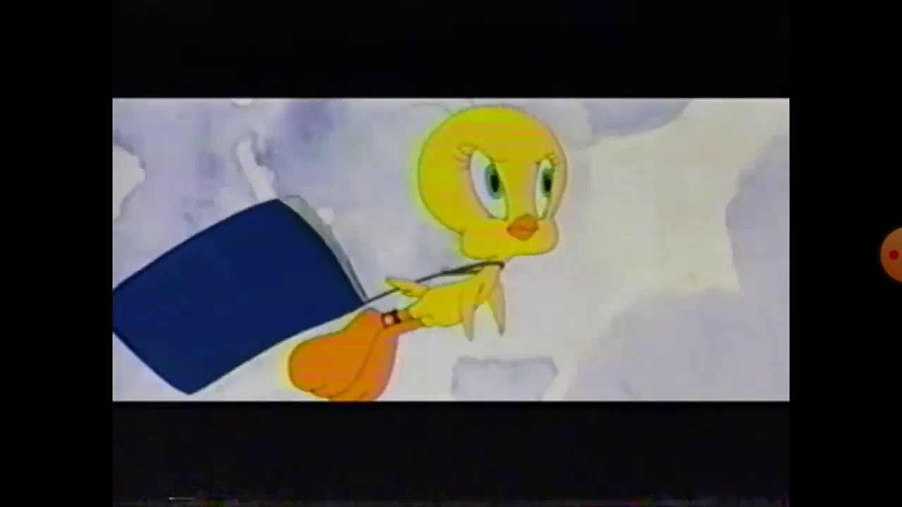 Cartoon Theatre Tweety's High-Flying Adventure Promo 2002 - YouTube