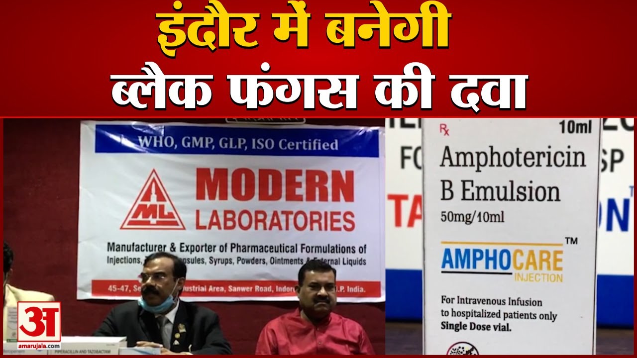 Indore Based Modern Laboratories को मिली Black Fungus की दवा बनाने की ...