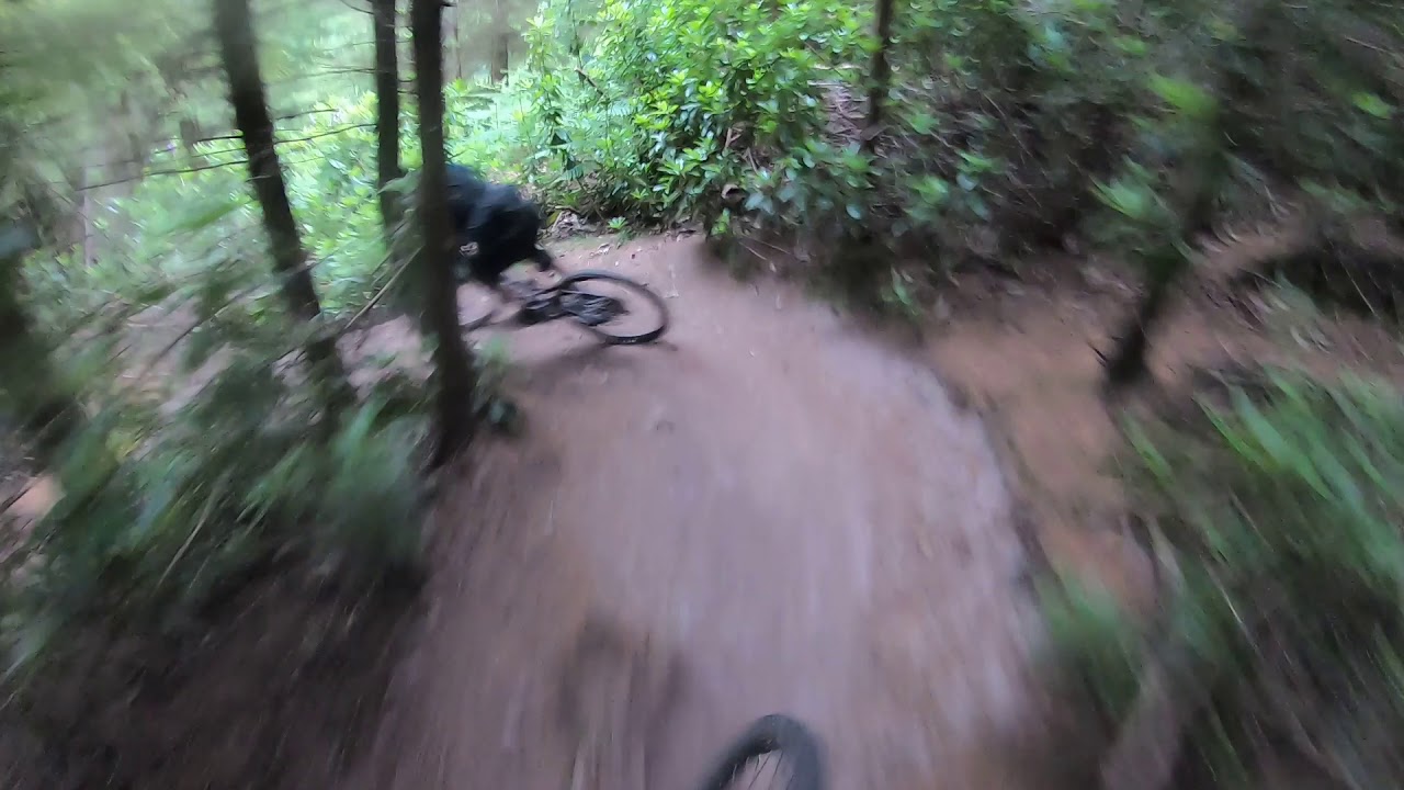 Triscombe MTB Downhill Trails - 'FullDuro' - YouTube