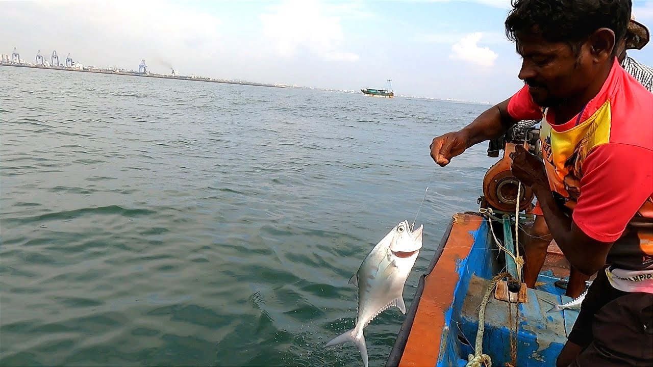 Catching Queen Fish in Sea - Part II - YouTube