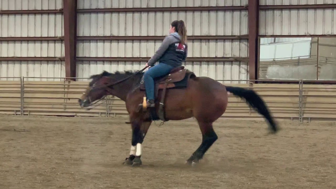 2019 Reining run downs and spins - YouTube