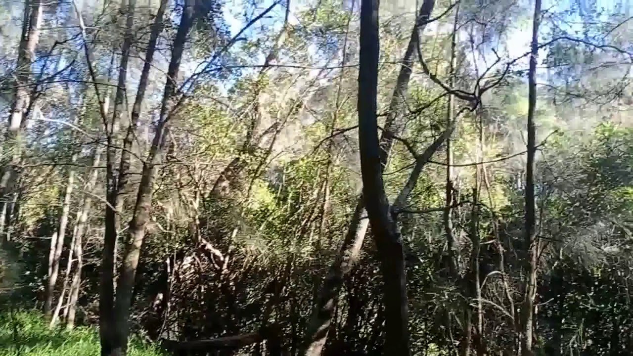 Fairyland Track Loop - YouTube