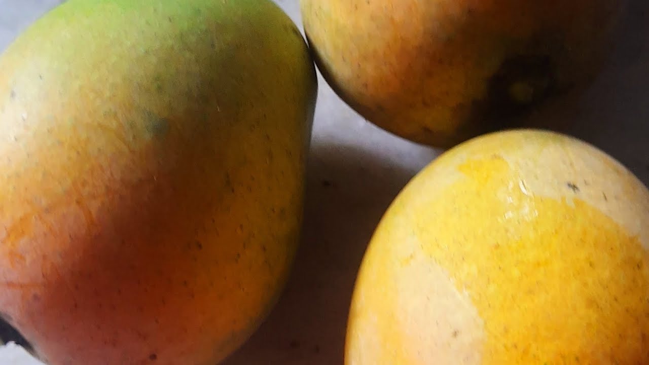 Mango frooti Recipe|How to make Mango frooti... - YouTube