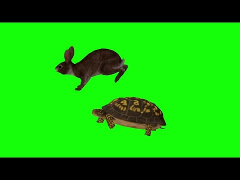 rabbit and tortoise video|khargos aur kachhuaa|rabbit and tortoise ...