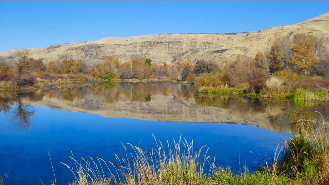 Nine Pound Shadow - Bridges (HD) (15 of 16) - Trails, plants, animals ...