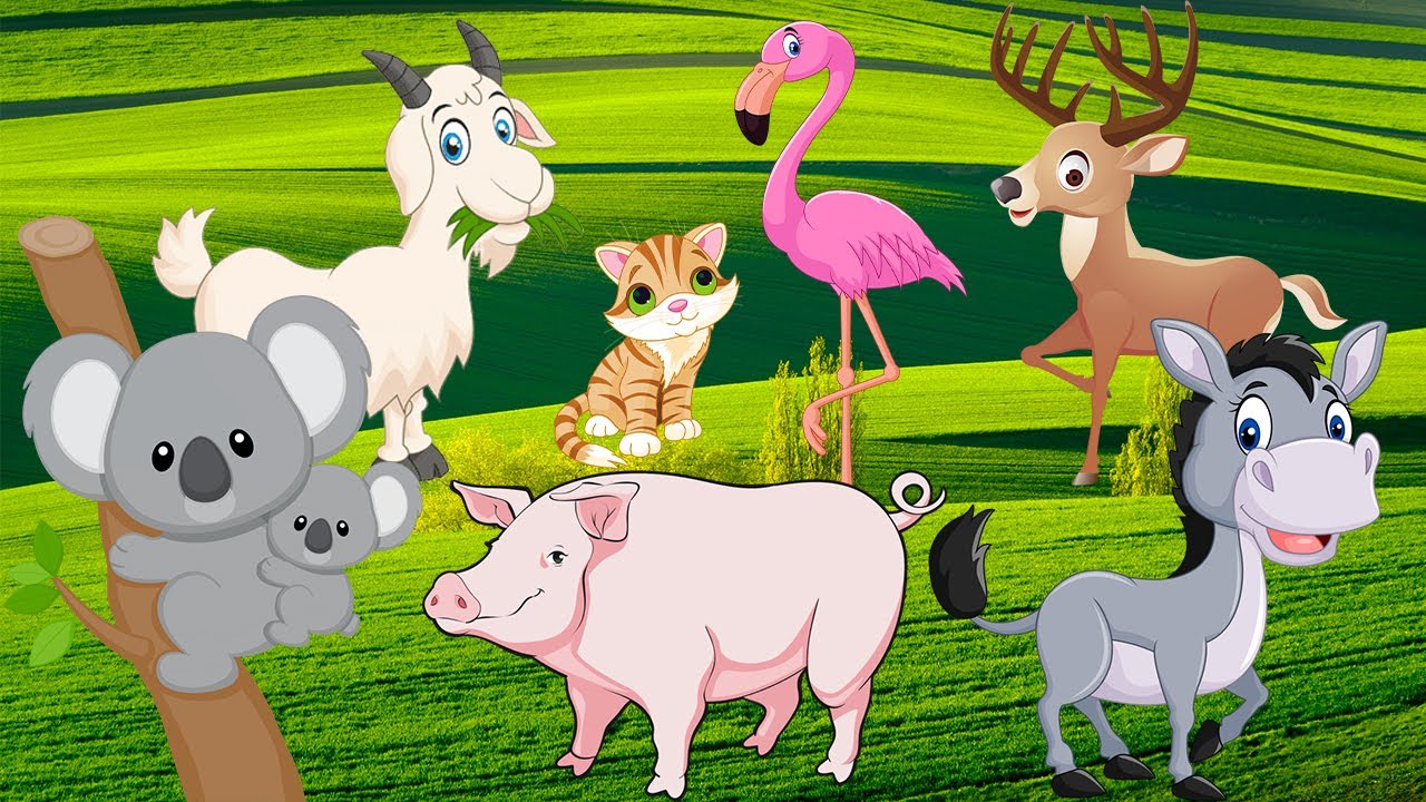 CUTE LITTLE ANIMALS - Koala bear, Donkey, Boar, Flamingo, Goat, Cat ...