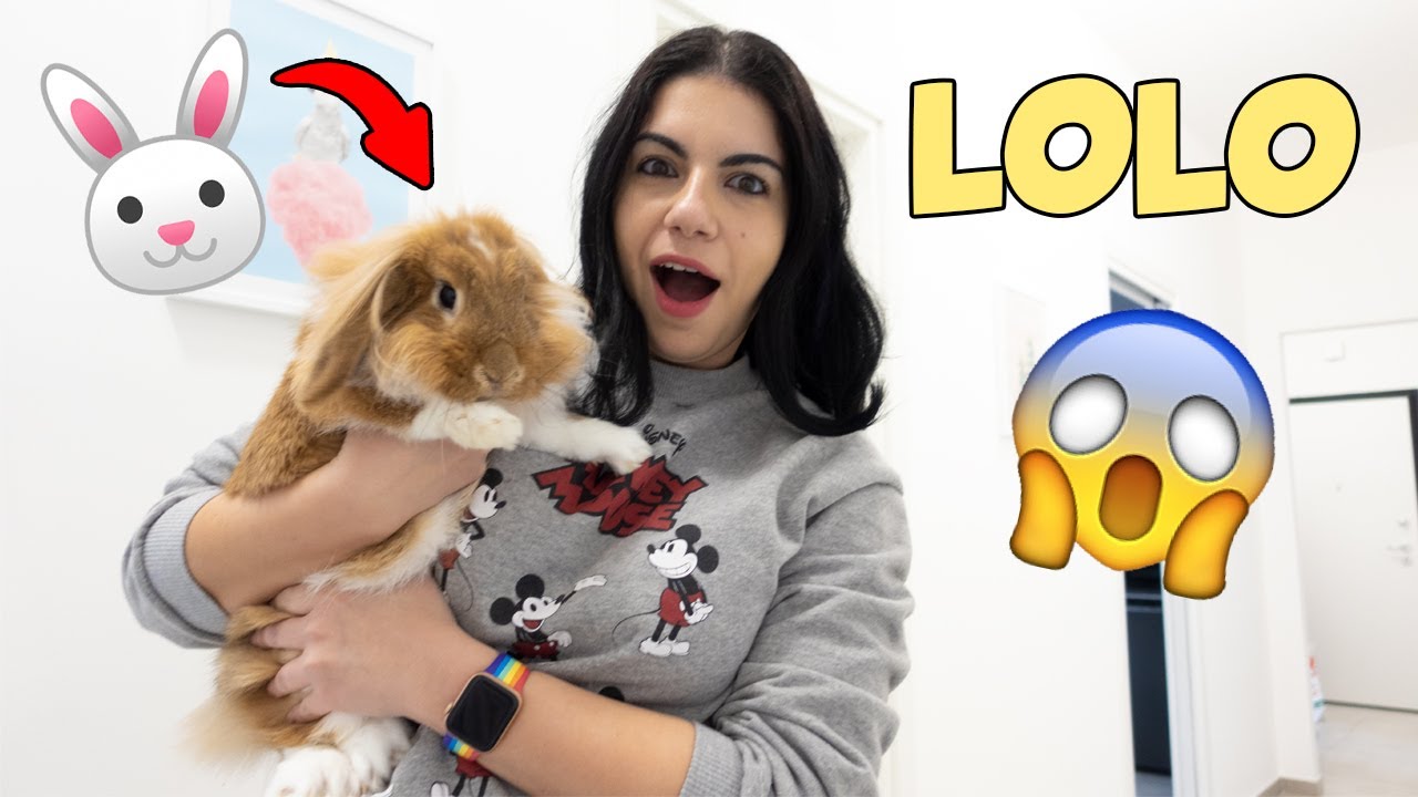 ECCO COME È DIVENTATO LOLO! *5 mesi dopo* - YouTube