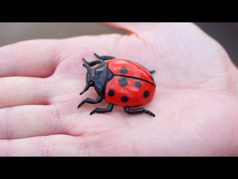WORLD'S LARGEST LADYBUG!