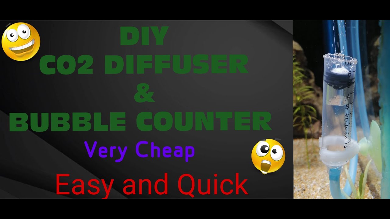 How to Make DIY CO2 Diffuser? | How to make DIY CO2 Bubbles Counter?| # ...