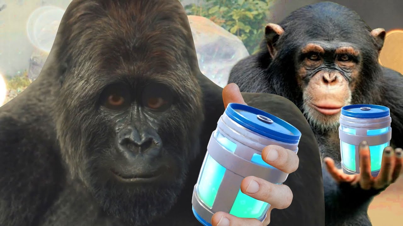 Return to monke, listen to Chug Jug With You - YouTube