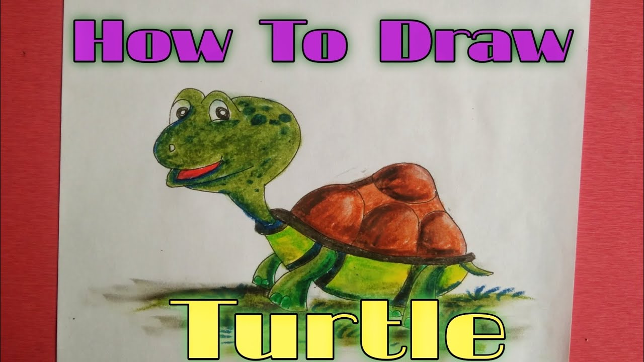 How To Draw Turtle 🐢 ll Class -19 ll Strap by Stap Drawing #viral # ...