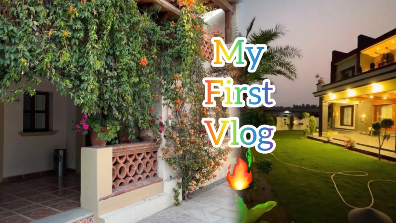 Mera sundar Farmhouse dekhiye🌻@spnfgardeningvlogs #gardening # ...