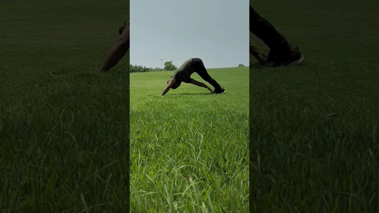 Abdominal Exercise - Sculpt and tone your abs with the pike into toe ...