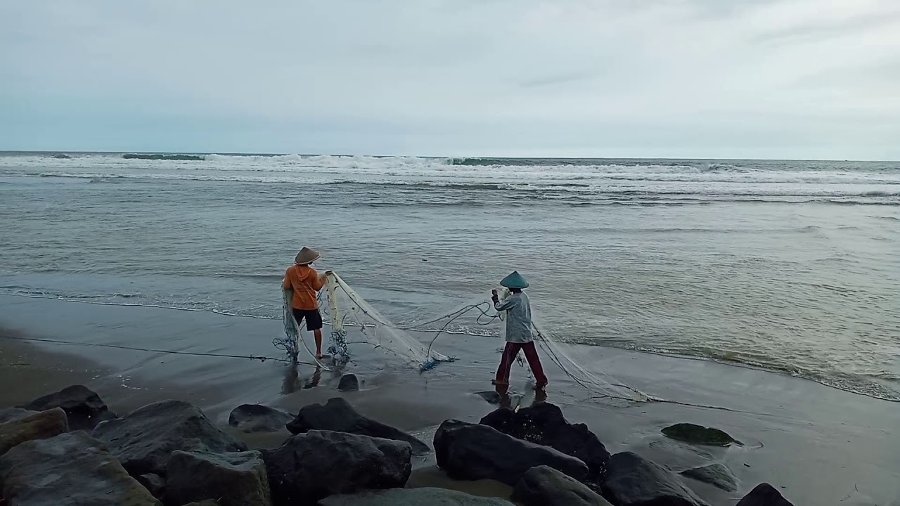Lik Bronang di Pantai Cemara Sodong - Adipala Cilacap - YouTube