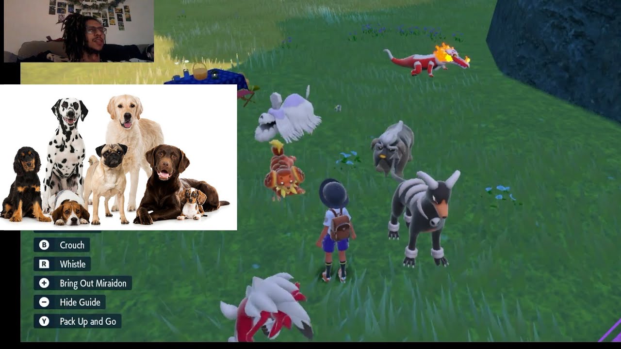 my team of dogs is COMPLETE (Pokemon Violet) - YouTube