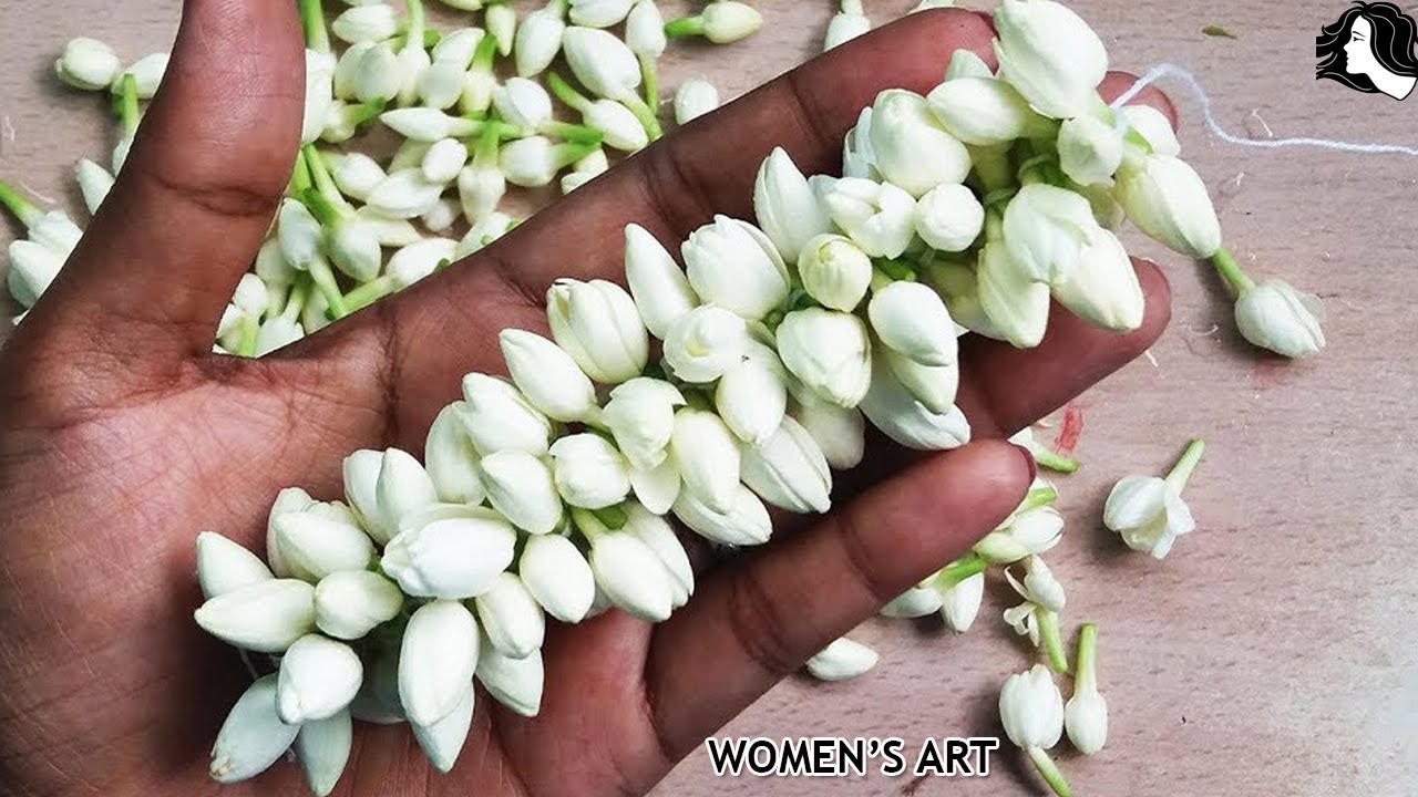 Closely String Jasmine Flower Easy Method Simple Method To String closely-string-jasmine-flower-easy-method-simple-method-to-string