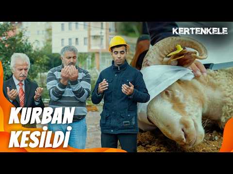 Bu sitede oturanlar korusun diye kurban kesildi - Kertenkele 39. Bölüm
