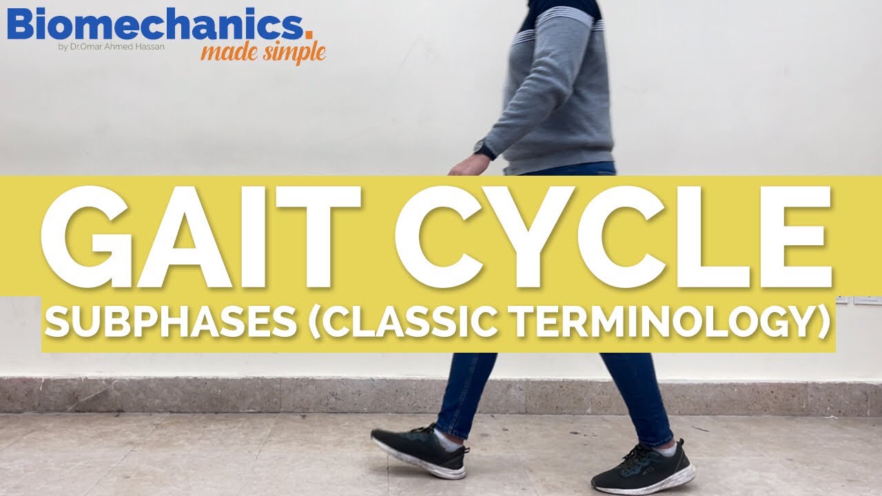 VISUAL DEMONSTRATION (Gait cycle subphases-Classic terminology ...